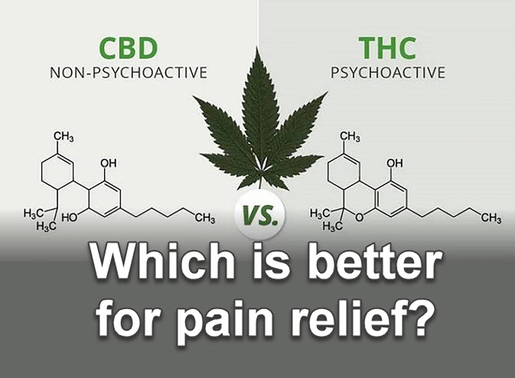 THC Vs CBD For Pain Which Is Better CBD Health And Wellness THC Vs CBD For Pain Which Is Better CBD Health And Wellness